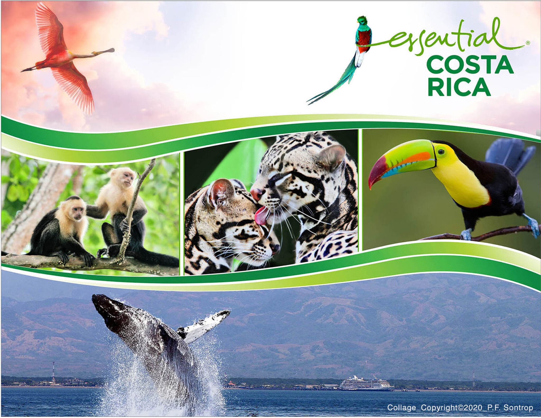 Residency Card Costa Rica | Laura B. Gutiérrez Residency / Citizenship ...